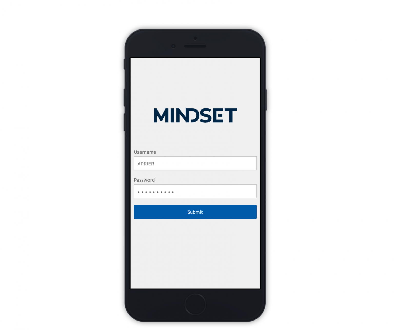 Mindset Interactive Prototypes | Mindset Consulting