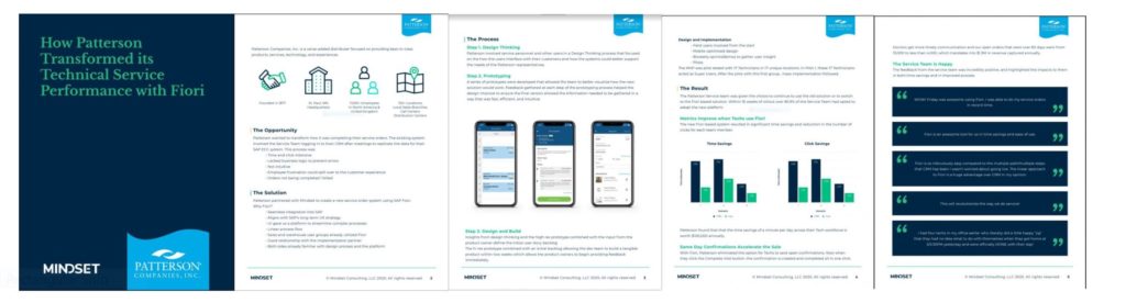 Patterson Case Study - Mindset Consulting